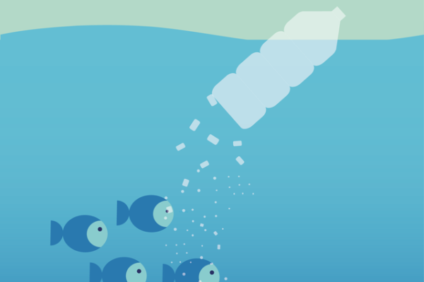 99% Successful Plastic Removal: A New Method for Getting Rid of ...