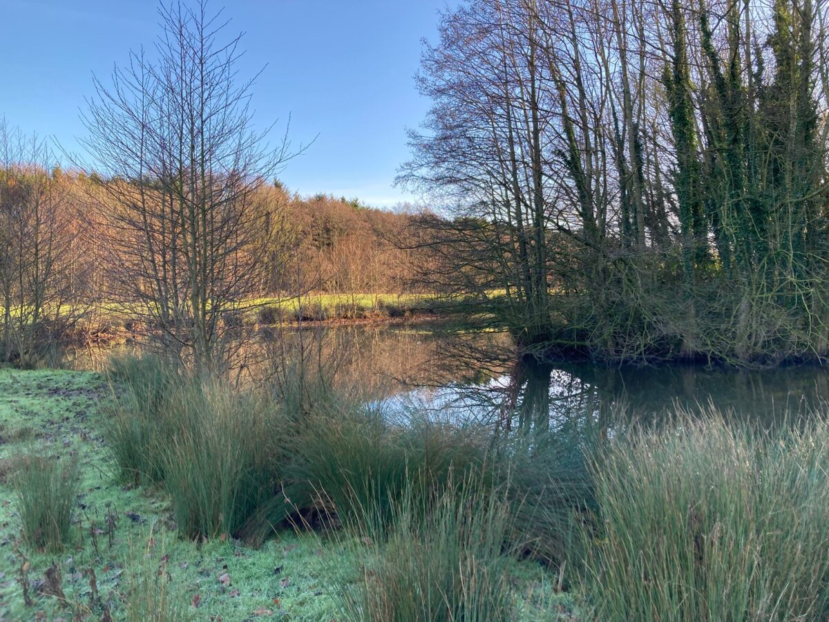 Natural World Fund Home Page - Natural World Fund