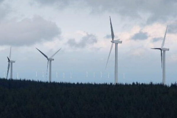 Record year for UK wind power in 2024 - Natural World Fund