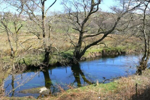 Seven out of nine protected river systems in Wales failing phosphate ...